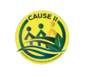 CAUSE Project II